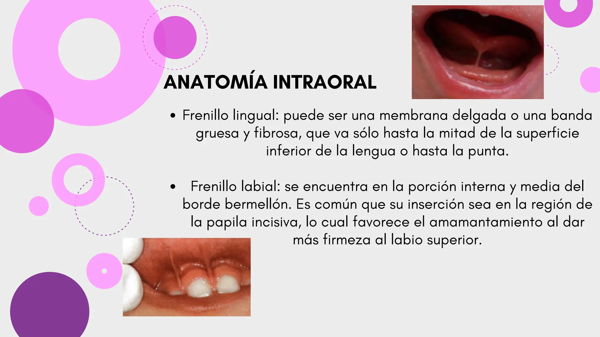 Cavidad oral en niños, odontopediatria, anatomía | PDF