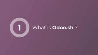 Odoo.sh for Developers | PDF