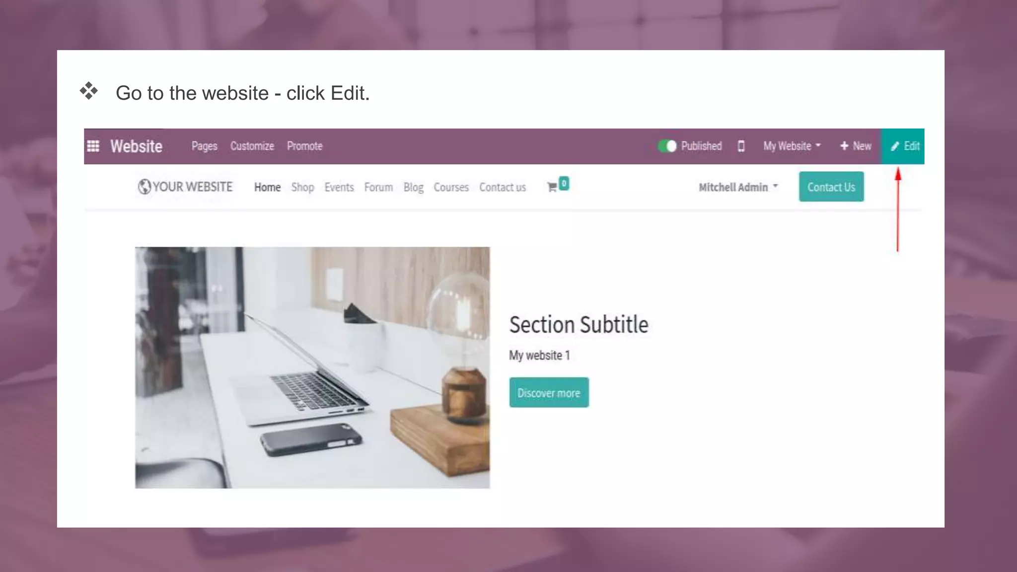 Odoo 14 Pricelist Snippet in Website | PPT
