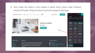 Odoo 14 Pricelist Snippet in Website | PPT