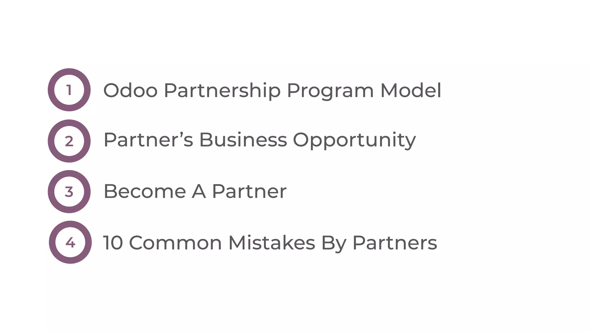 Odoo Partnership Program | PDF