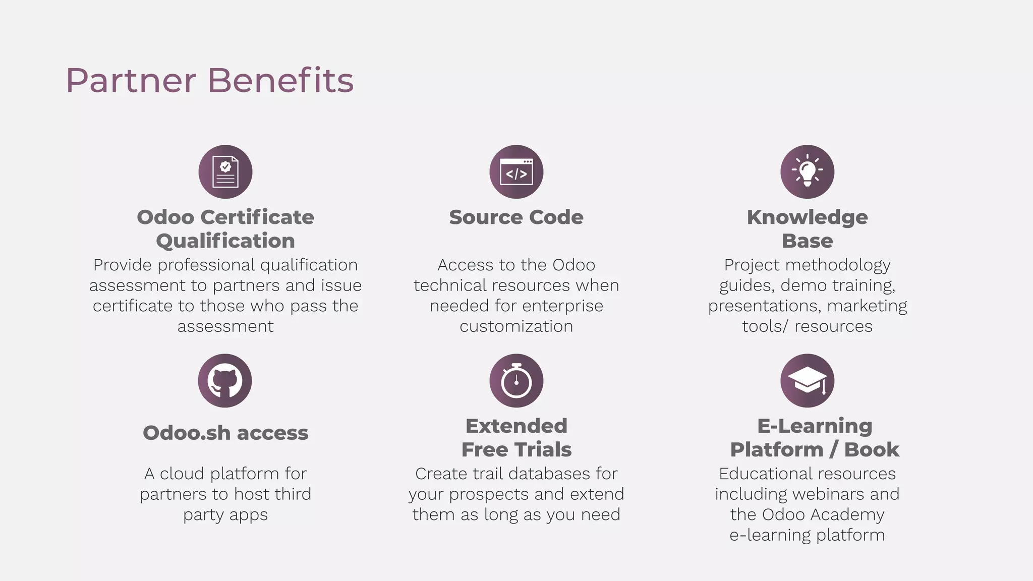 Odoo Partnership Program | PDF