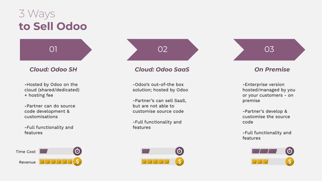 Odoo Partnership Program | PDF | Computer Software and Applications | Computing