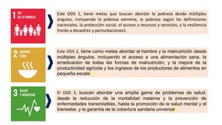 objetivos de desarrollo sostenible 2024.pptx