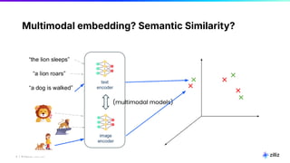 Multimodal Retrieval-Augmented Generation (RAG) with Vector Database | PDF