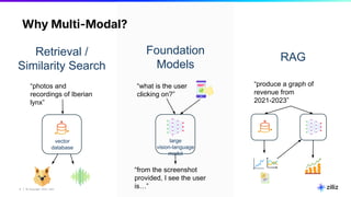 Multimodal Retrieval-Augmented Generation (RAG) with Vector Database | PDF