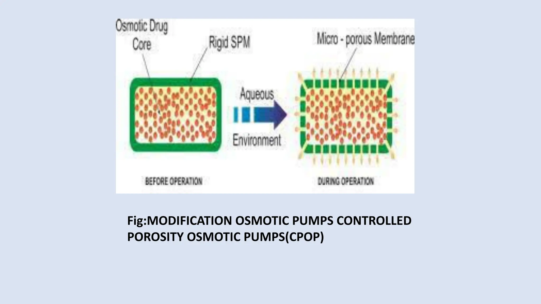 Osmotic Drug Delivery System and basic components of Osmotic system | PDF