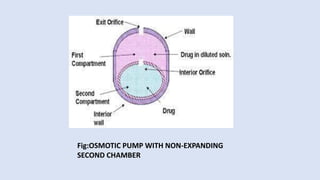 Osmotic Drug Delivery System and basic components of Osmotic system | PDF