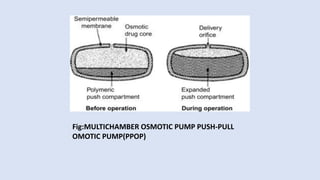 Osmotic Drug Delivery System and basic components of Osmotic system | PDF
