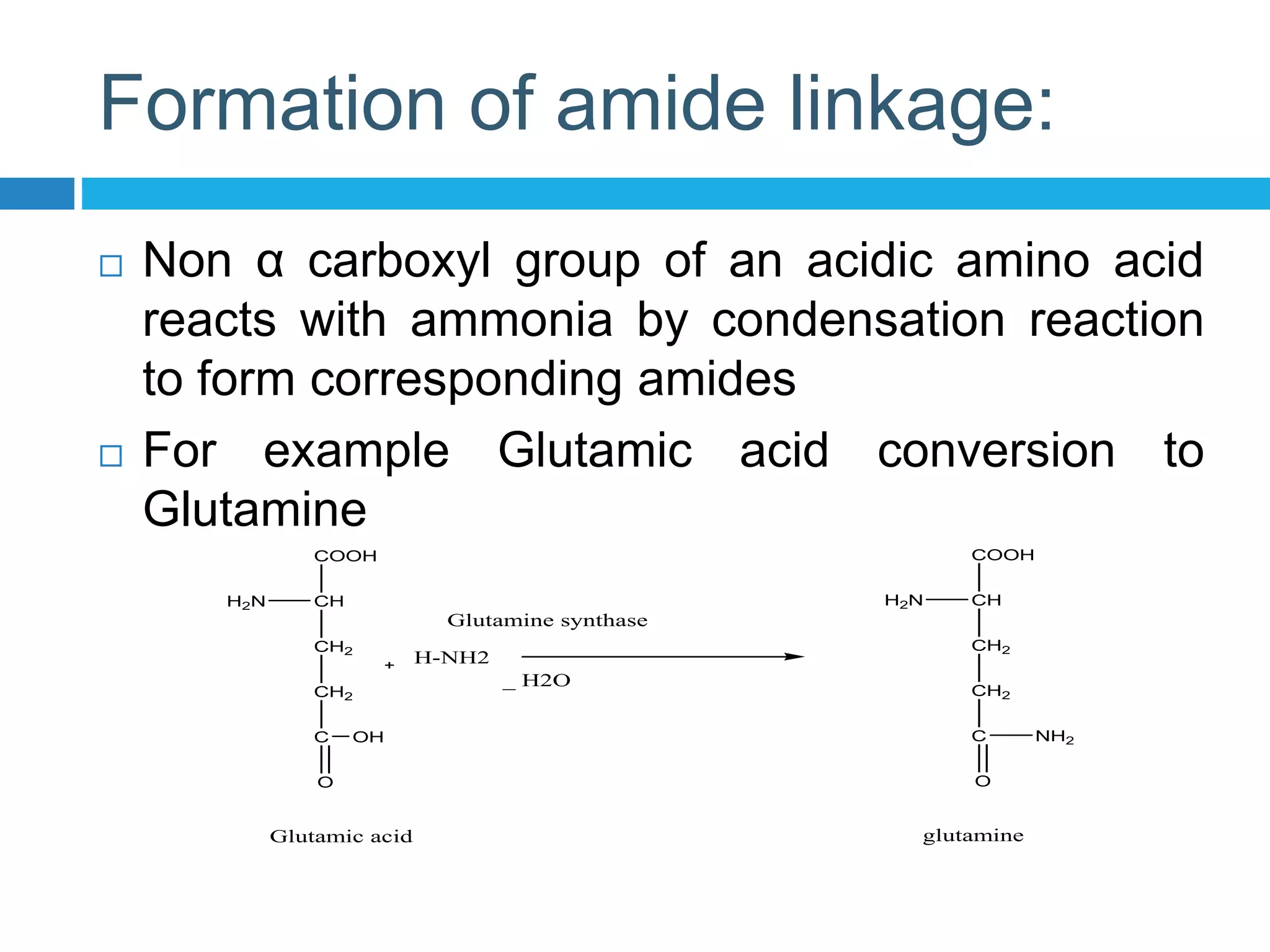 Chemical_Reactions_of_amino_acids.pptx