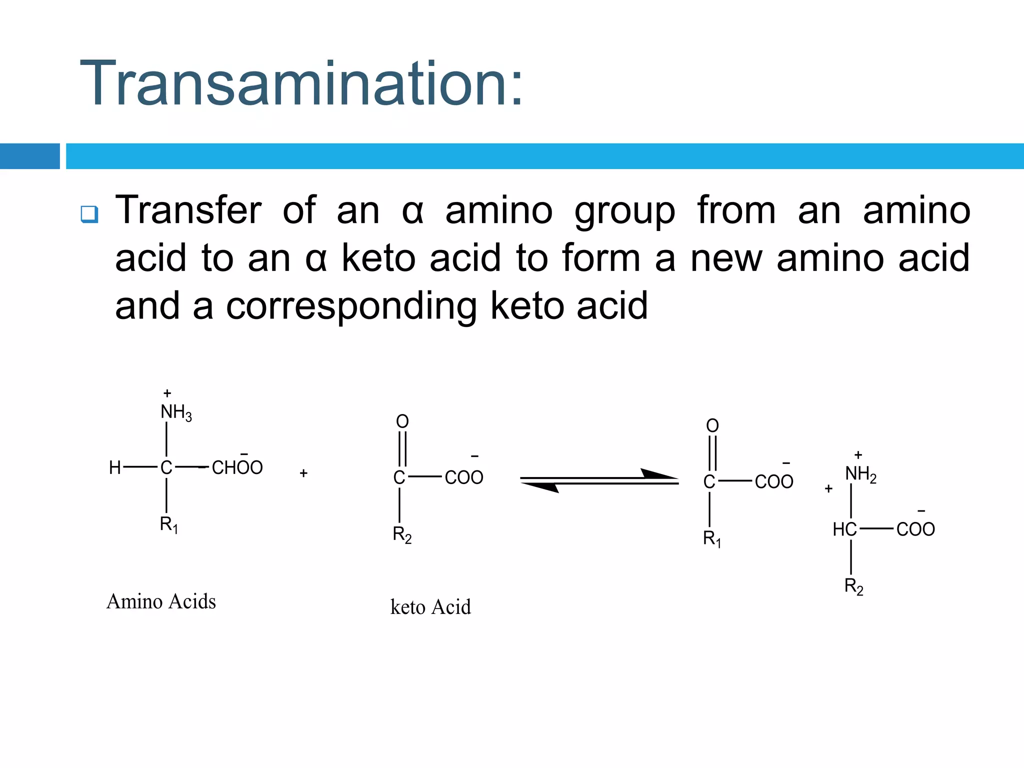 Chemicalreactionsofaminoacidspptx