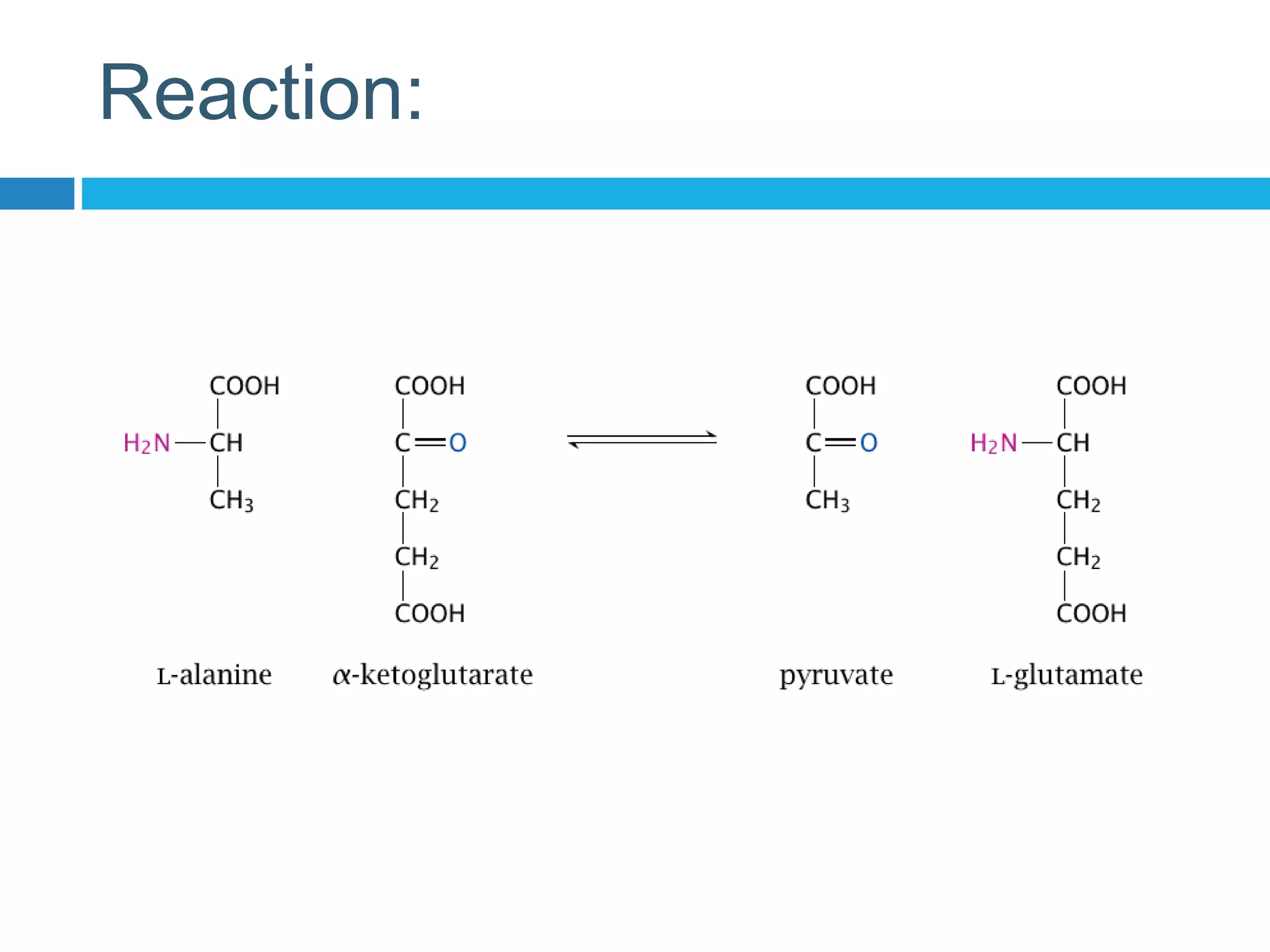 Chemicalreactionsofaminoacidspptx