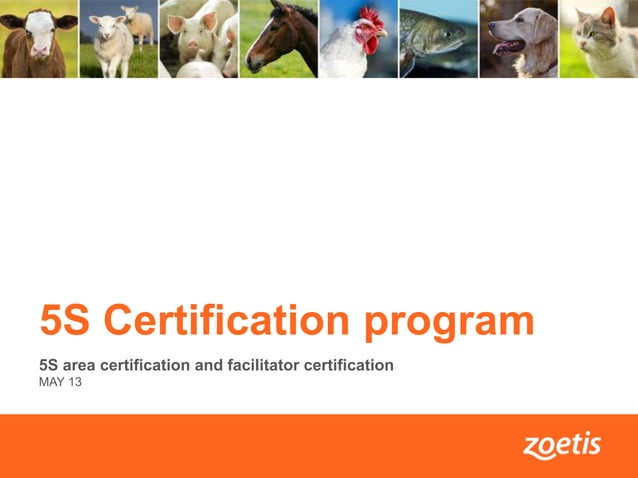 OE 5S Certification | PPT