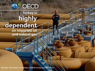 OECD Environmental Performance Review: Turkey 2019 - Launch ...