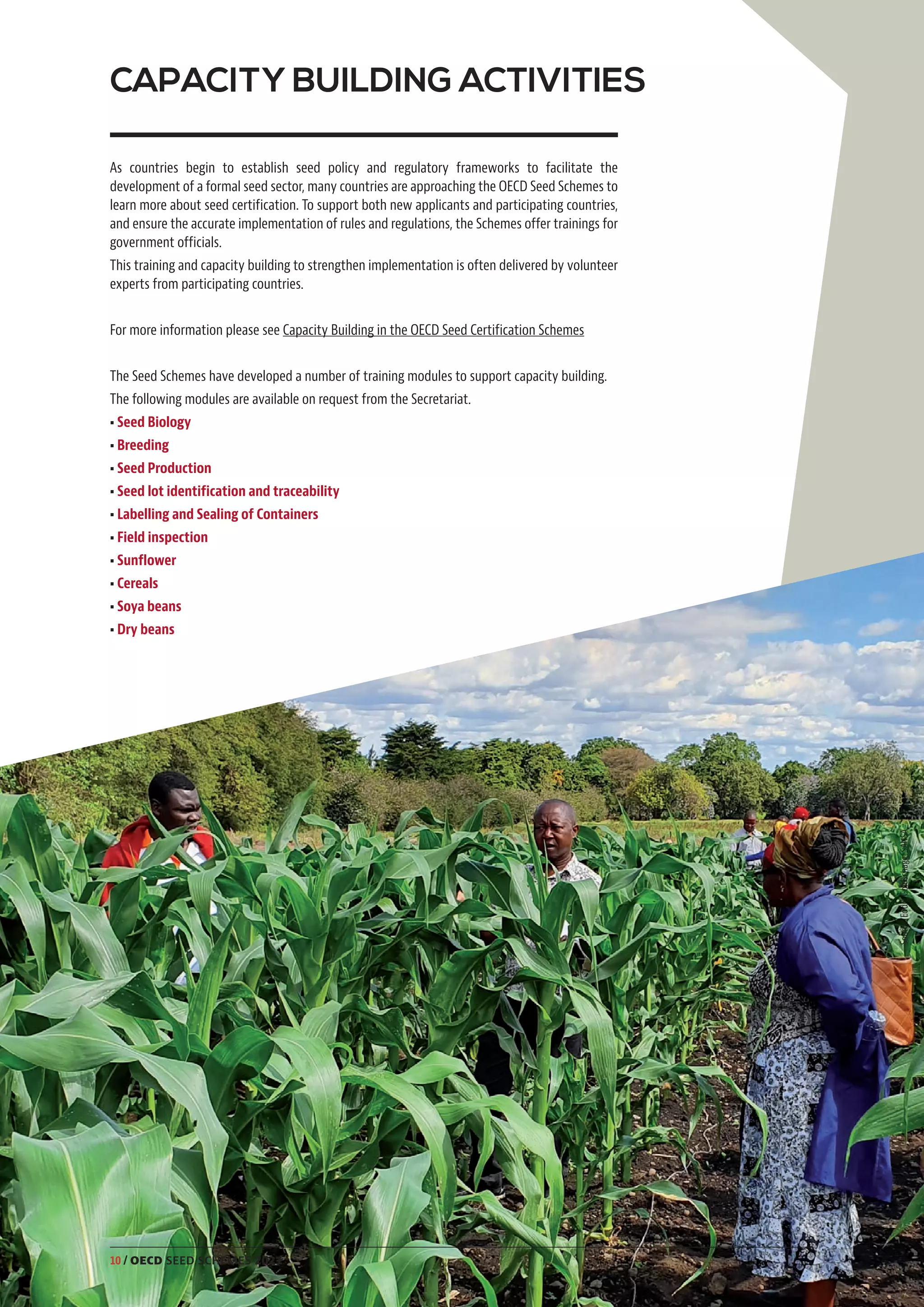 oecd-seed-schemes-brochure.pdf