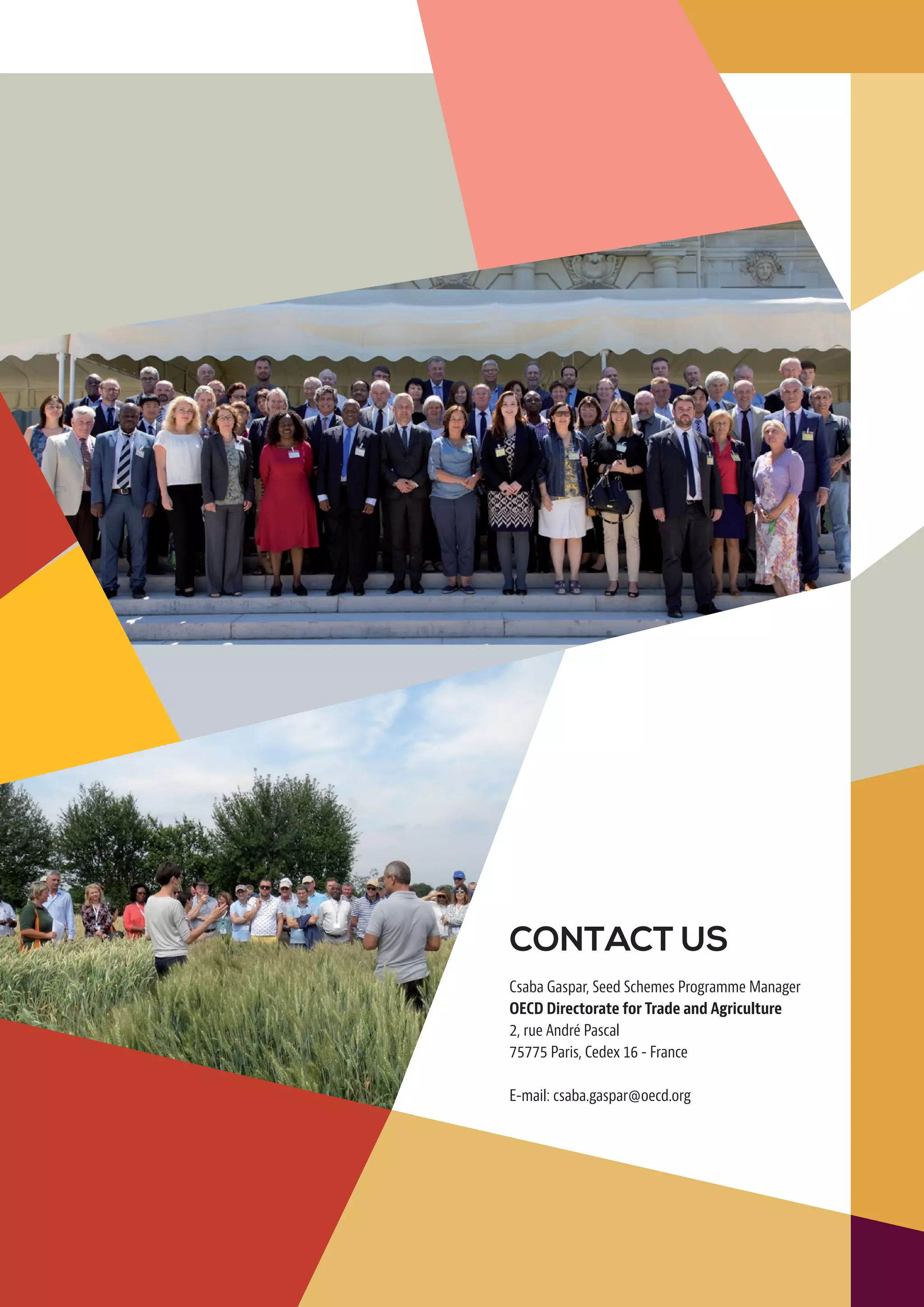oecd-seed-schemes-brochure.pdf