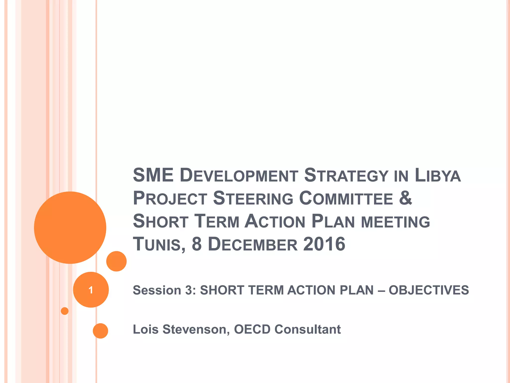 SME DEVELOPMENT STRATEGY IN LIBYA PROJECT STEERING COMMITTEE | PPT