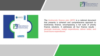 OECD-UNDP Conference on Biodiversity Finance - Session 4 Annabelle ...