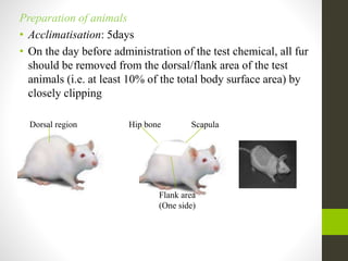 Oecd acute,subacte, sub chronic dermal toxicity studies(402, 410, 411 ...