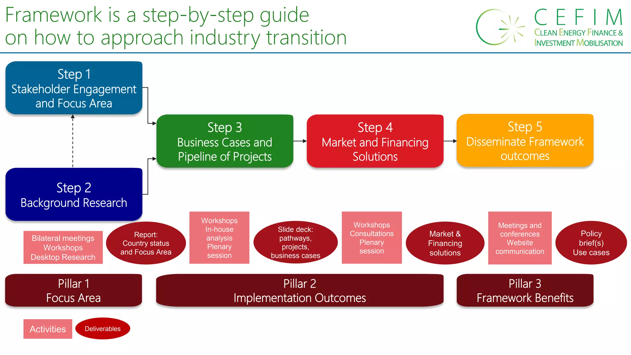 OECD CEFIM Framework presentation - Deger Saygin, OECD | PPT