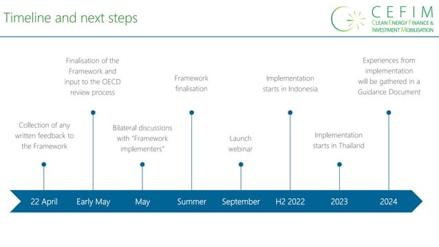 OECD CEFIM Framework presentation - Deger Saygin, OECD | PPT