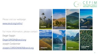 OECD CEFIM Framework presentation - Deger Saygin, OECD | PPT
