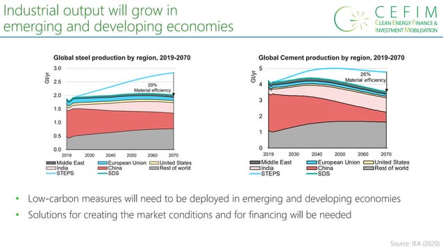 OECD CEFIM Framework presentation - Deger Saygin, OECD | PPT