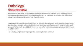 Oecd for chronic toxicity | PPTX