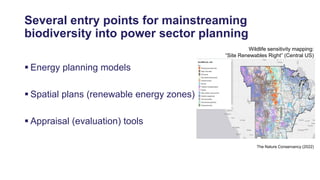 OECD Green Talks LIVE | Mainstreaming Biodiversity into Renewable ...