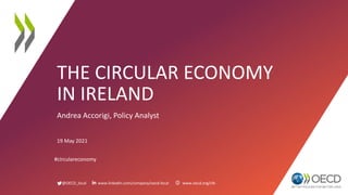 The Circular Economy in Ireland | PDF