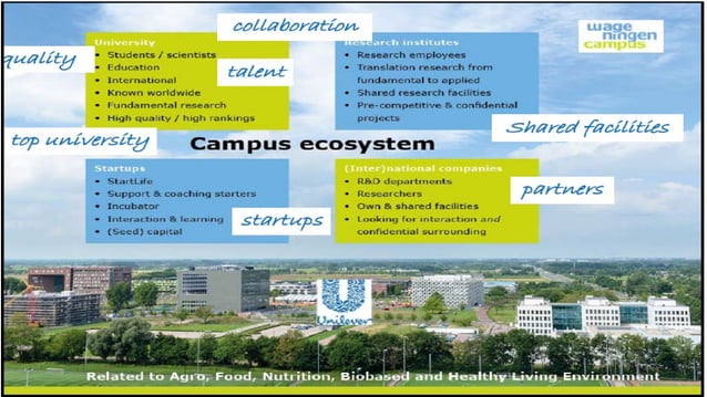 Food Design in Developing Countries: How to Combine Value Creation and ...