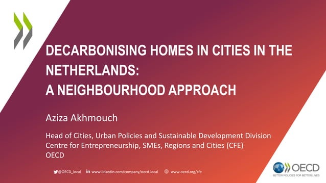 Decarbonising homes in cities in the Netherlands: a neighbourhood ...