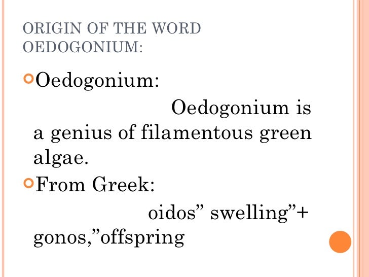 Oedogonium Characteristics Oedogonium | PPT