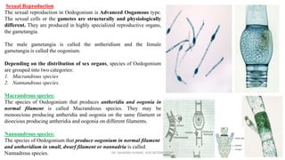 Oedogonium | PPTX