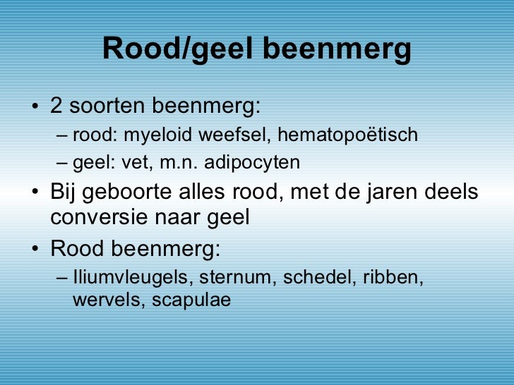 Oefen vgt skelet voorjaar 2008