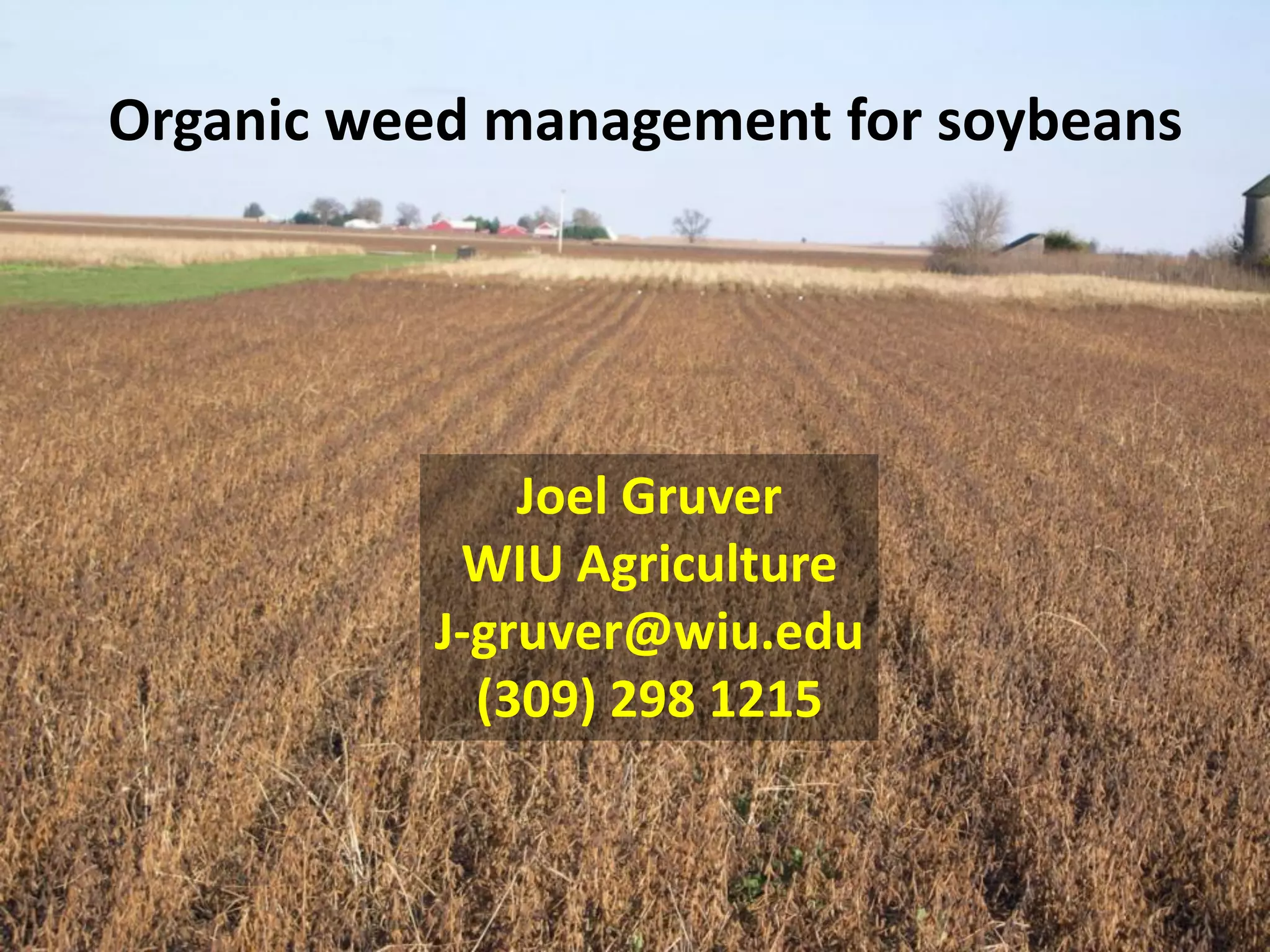 Weed management for organic soybeans | PDF