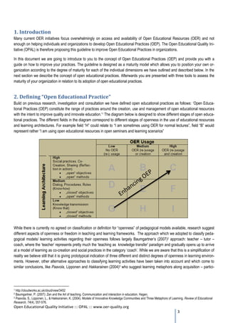Guidelines on Open Educational Practices | PDF
