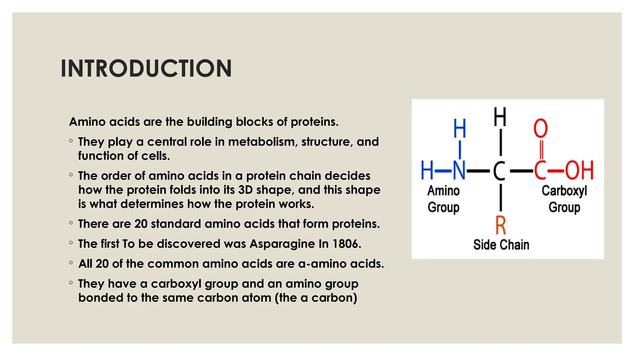 General properties of aminoacid ppt.pptx