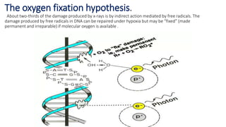 OER RADIATION ONCOLOGY ; OXYGEN ENHANCEMENT RATIO | PPTX