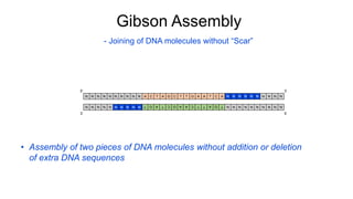 Gibson Assembly: a seamless molecular cloning technique | PPTX