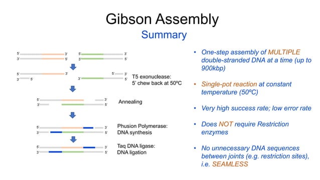 Gibson Assembly: a seamless molecular cloning technique | PPTX