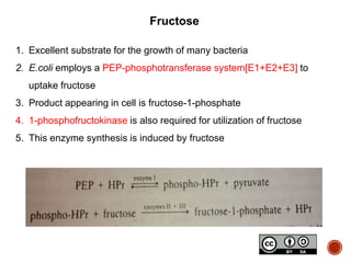 Catabolism of carbohydrates in bacteria | PPTX