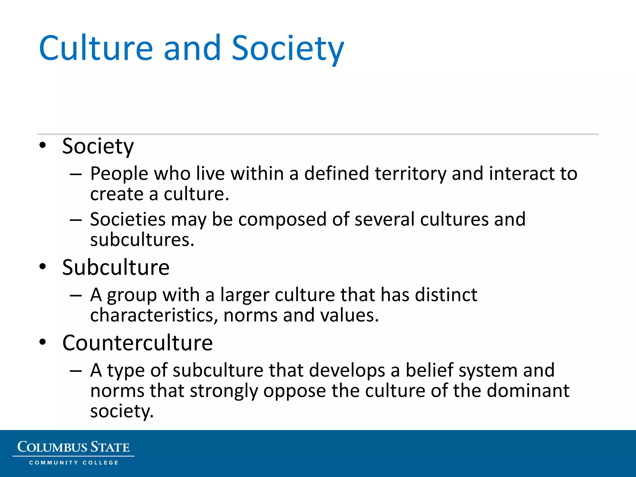 OER Chapter 3 - Culture | PPTX