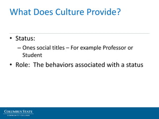 OER Chapter 3 - Culture | PPTX