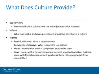 OER Chapter 3 - Culture | PPTX