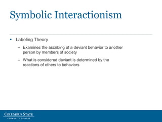 Chapter 7 - Deviance, Crime, and Social Control | PPTX