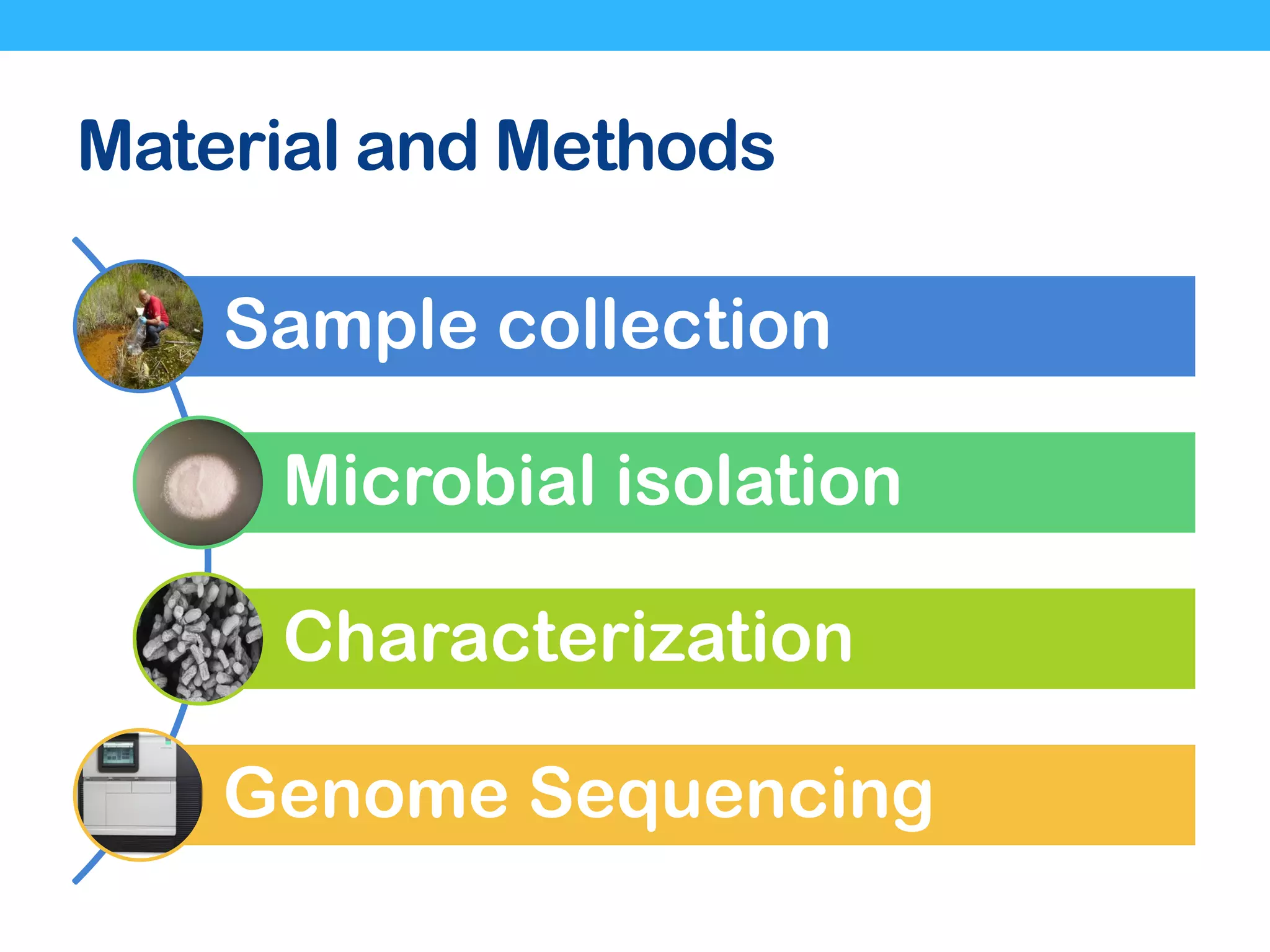 BACTERIAL GENOME SEQUENCING PROJECT | PPT