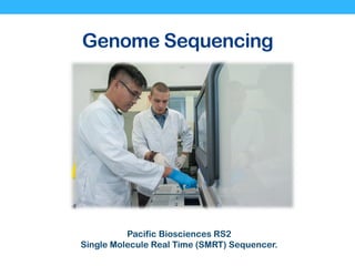 BACTERIAL GENOME SEQUENCING PROJECT | PPT