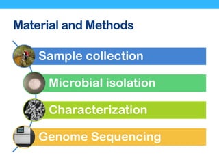 BACTERIAL GENOME SEQUENCING PROJECT | PPT