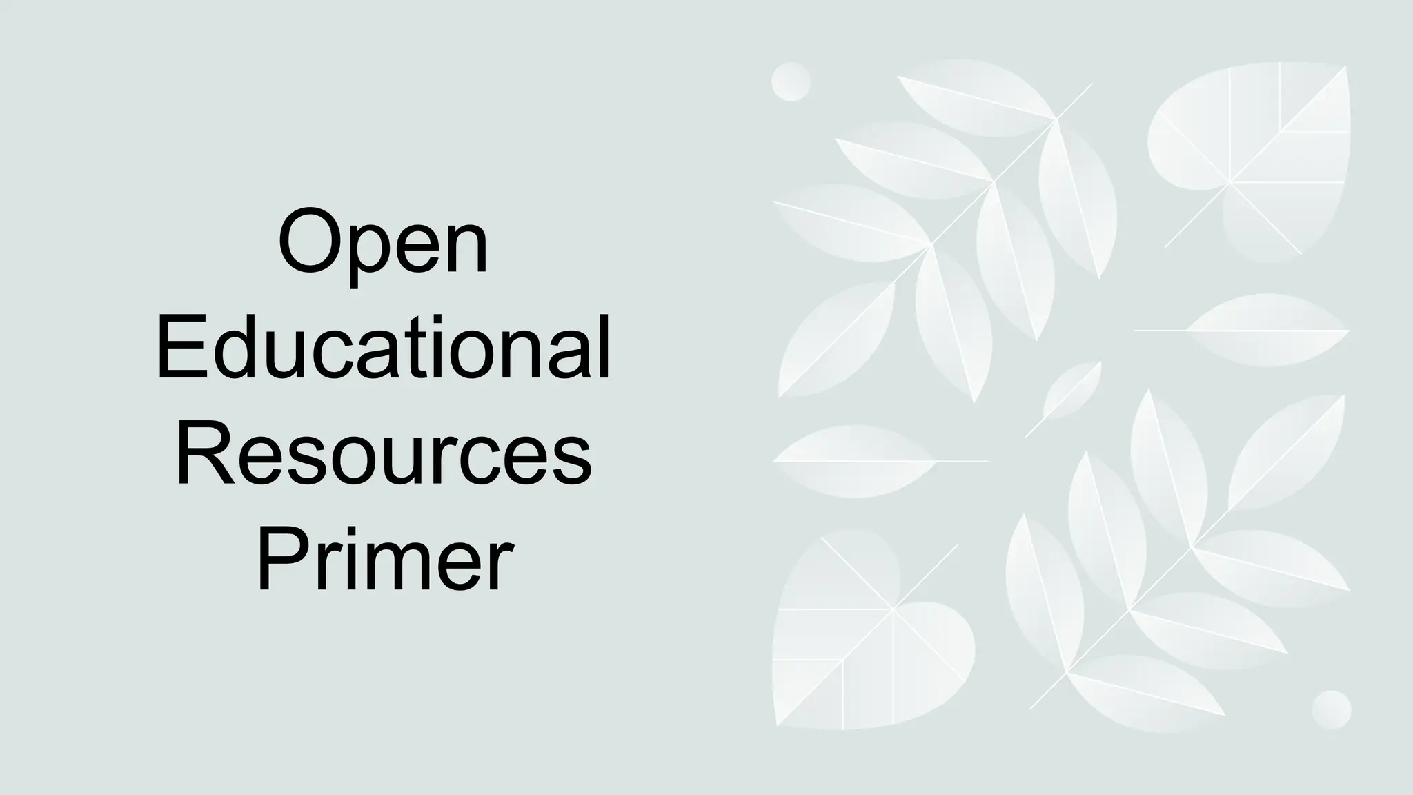 Open Educational Resources Primer PowerPoint | PPTX
